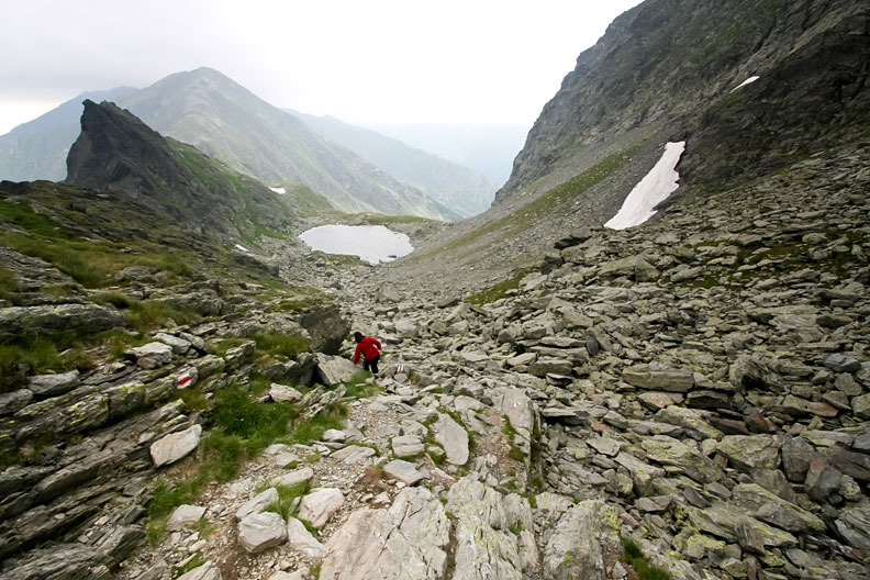 lacul Caltun, Muntii Fagaras | Cârtița plimbăreață